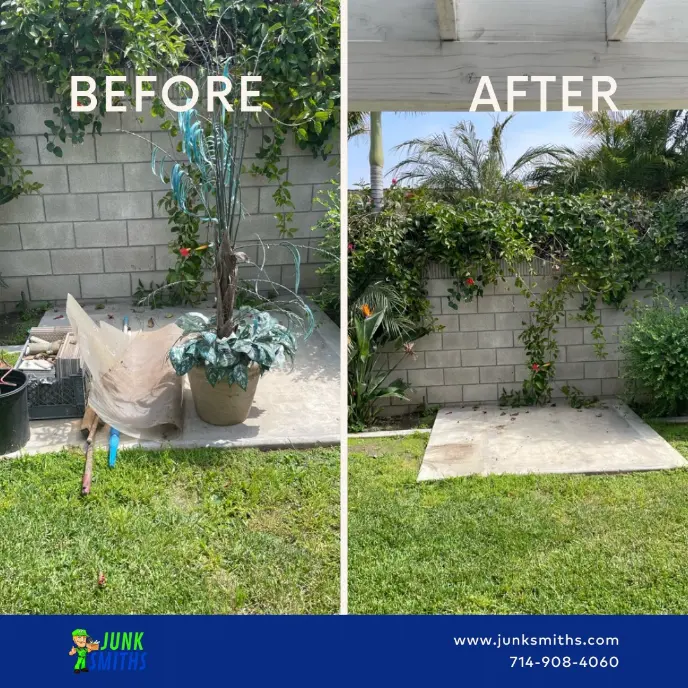 Backyard Cleanup Made Easy: Tips to Transform Your Yard